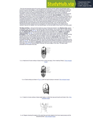 Anatomy Of The Human Body Henry Gray CONTENTS | PDF