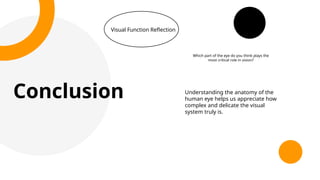 Anatomy of the Human Eye & training .pptx