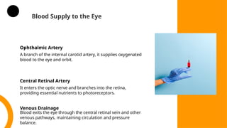 Anatomy of the Human Eye & training .pptx