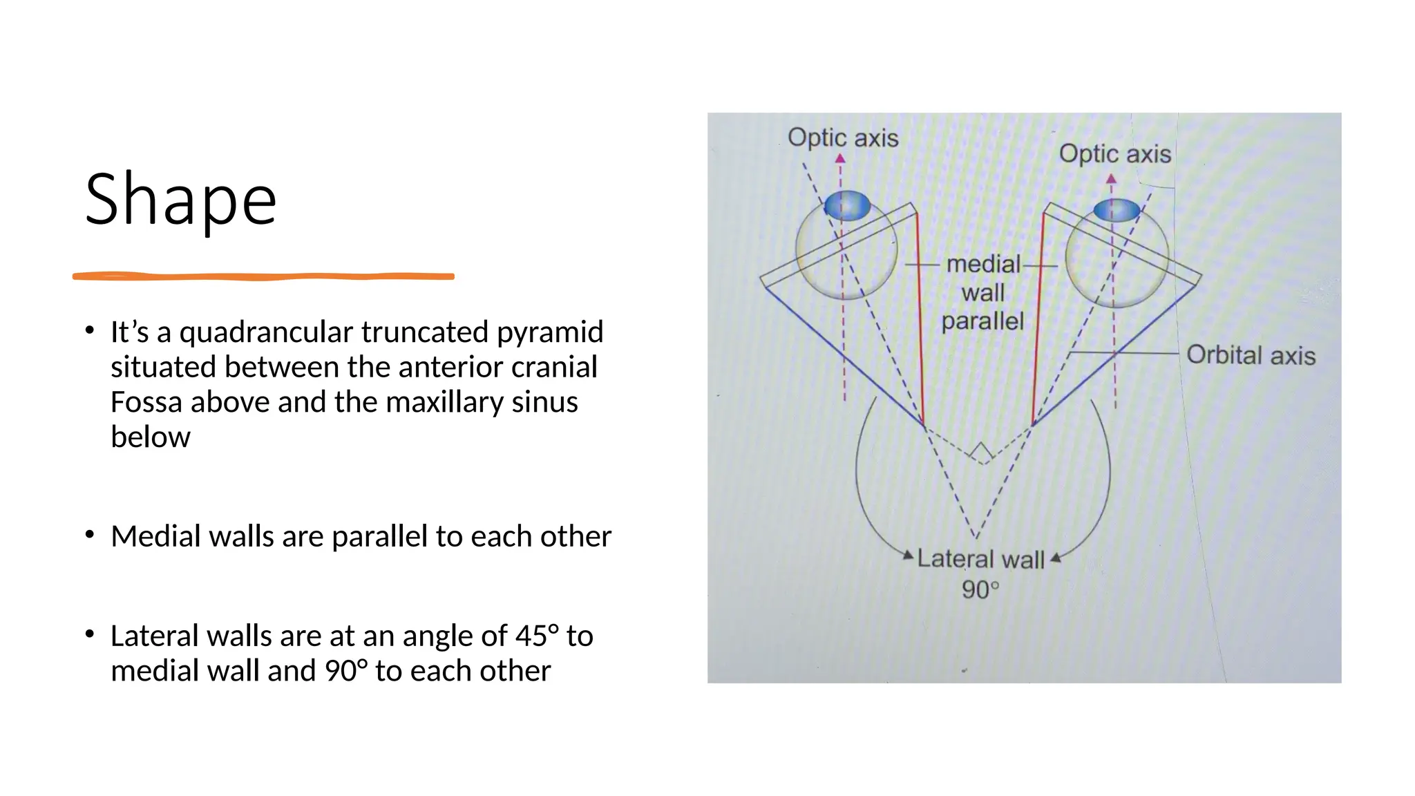Perfect Anatomy of the human eye ORBIT.pptx