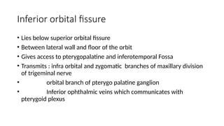 Perfect Anatomy of the human eye ORBIT.pptx