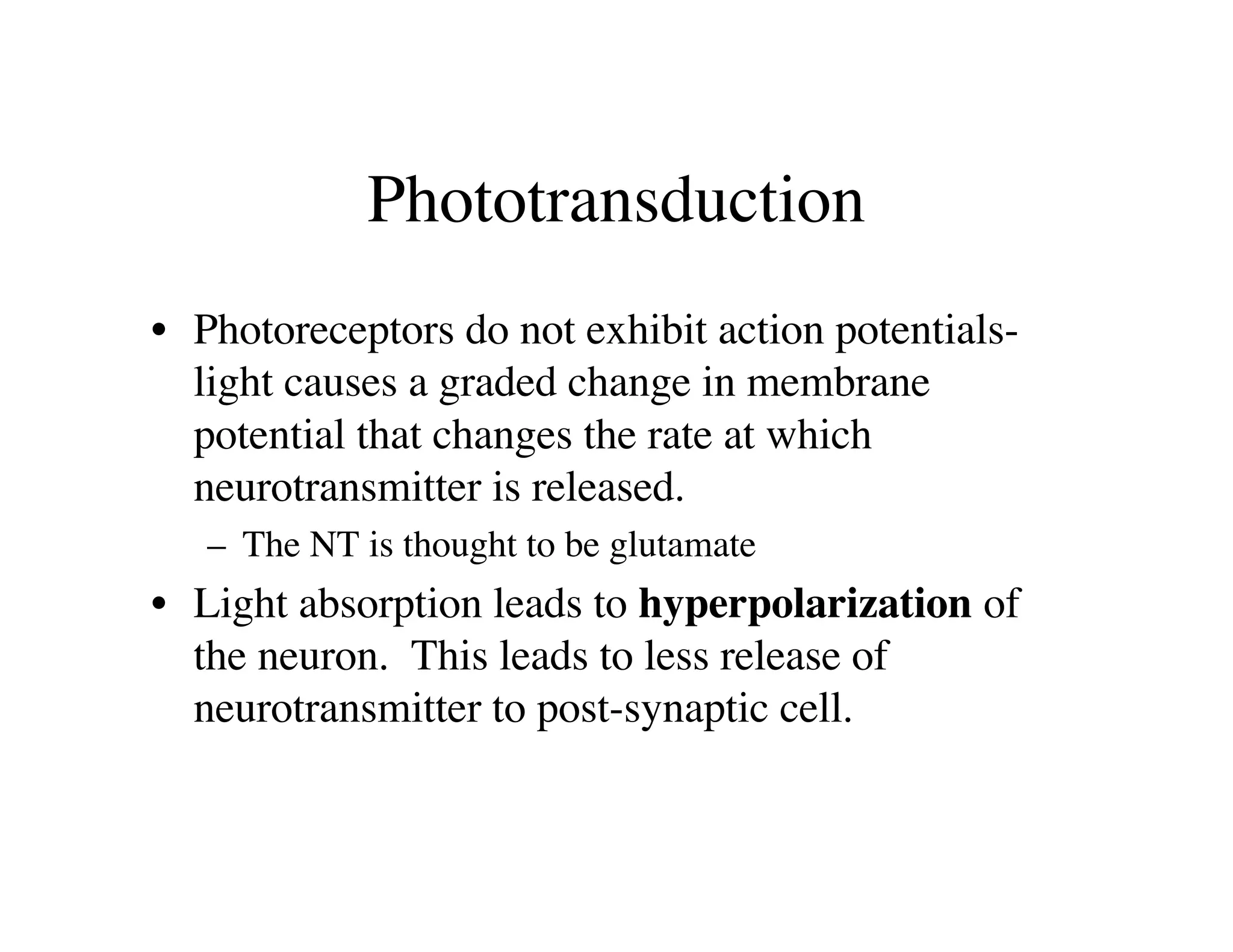 Anatomy of the Human Eye ( PDFDrive ).pdf