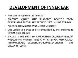 Anatomy of the inner ear | PPTX