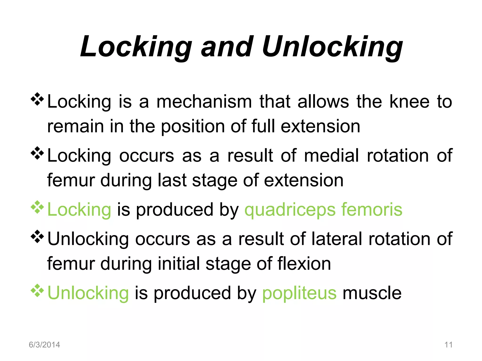 Anatomy of the knee joint | PPT