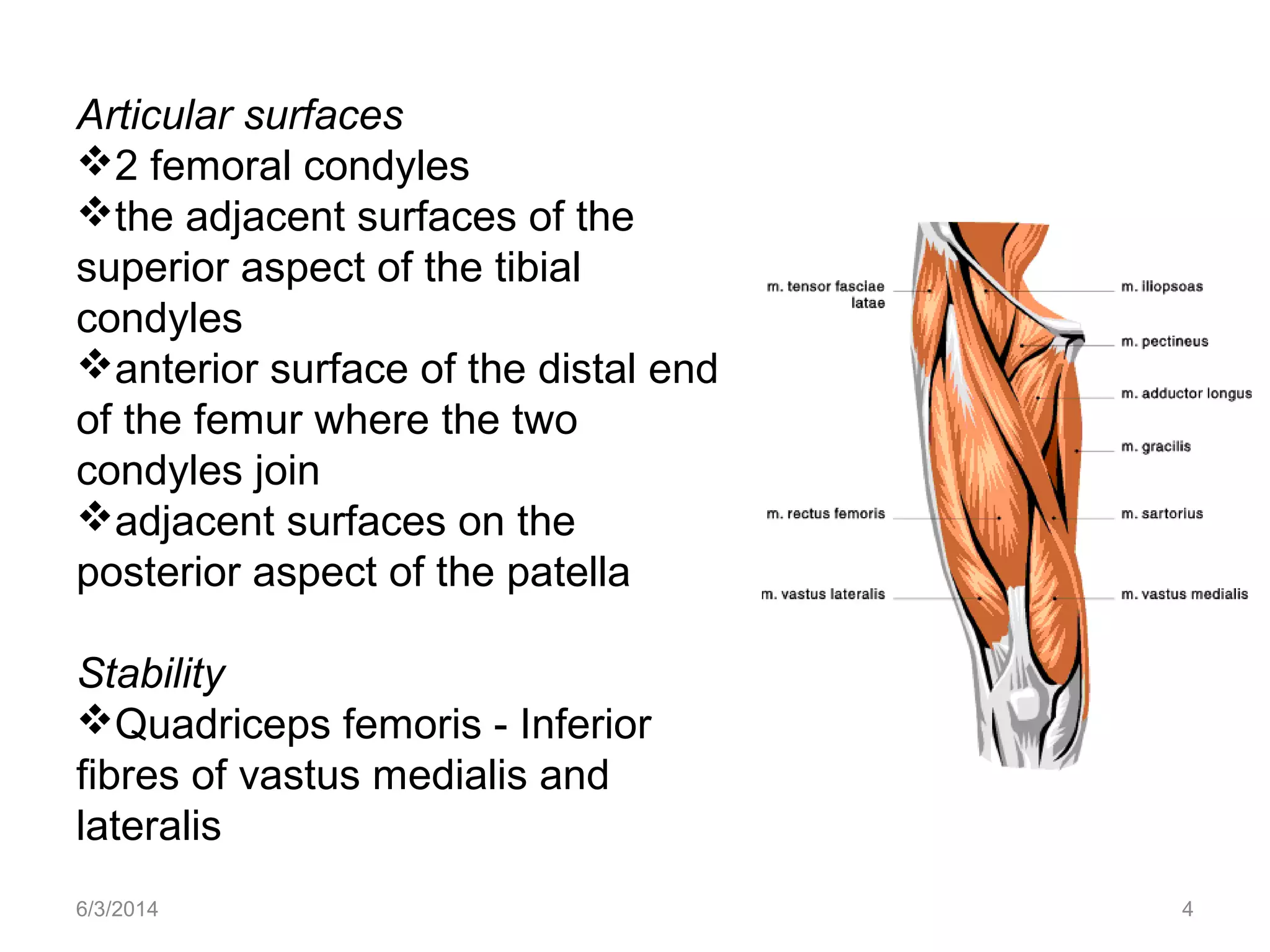 Anatomy of the knee joint | PPT