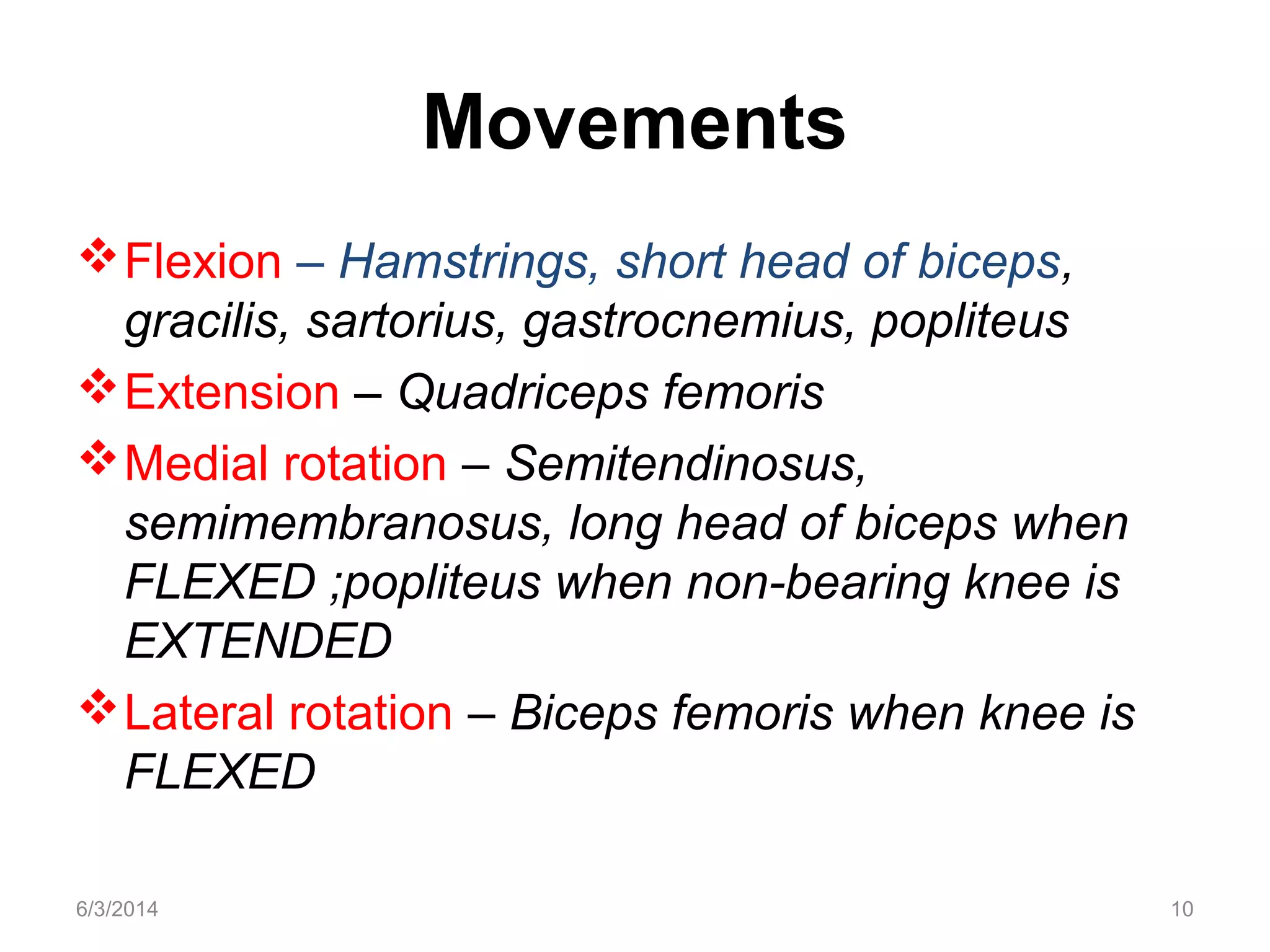 Anatomy of the knee joint | PPT