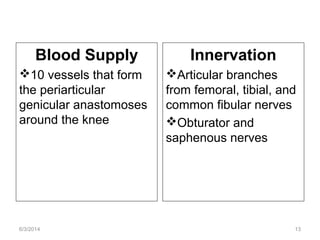Anatomy of the knee joint | PPT