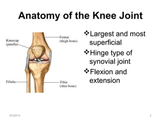 Anatomy of the knee joint | PPT