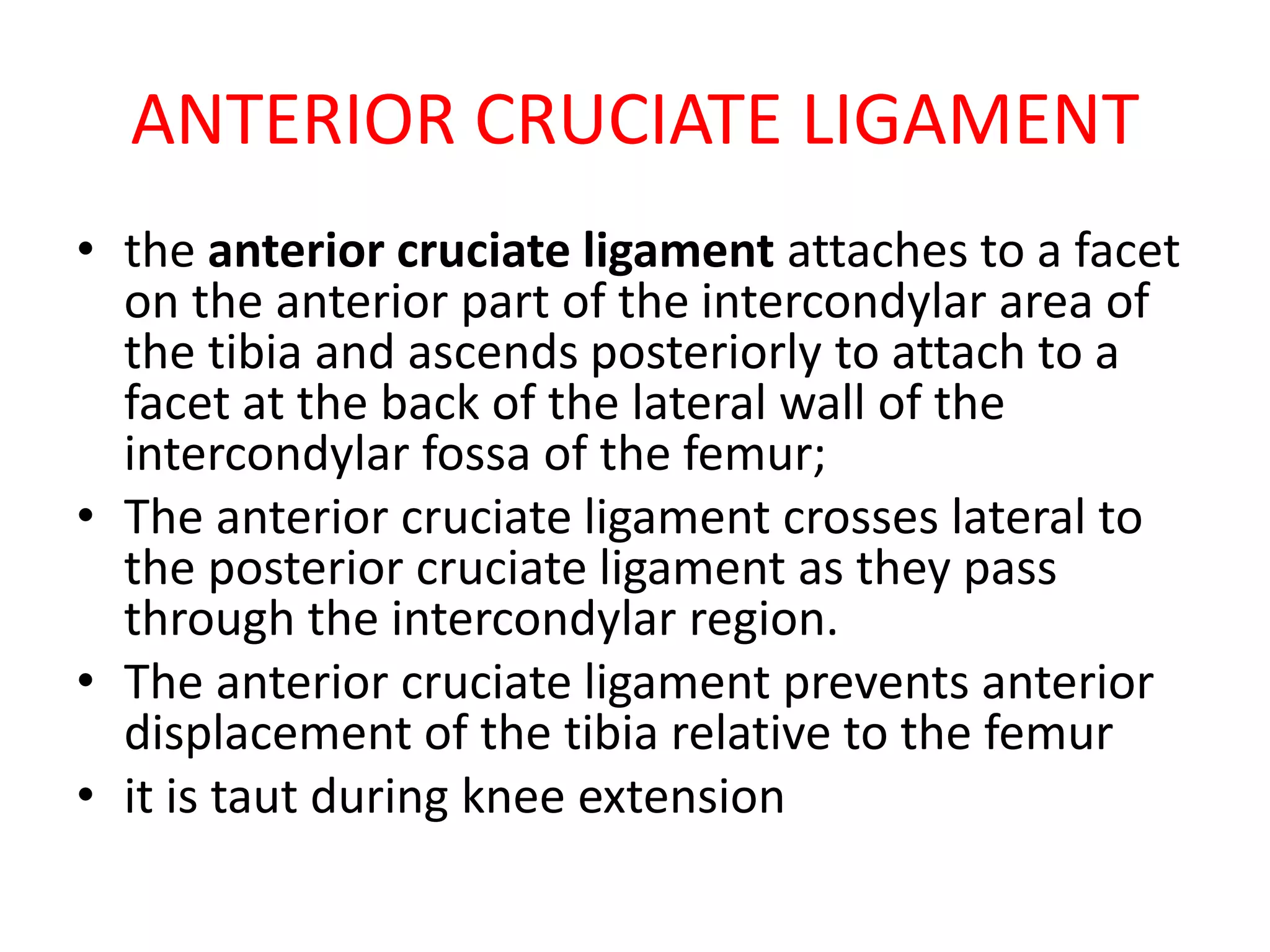 Anatomy of the knee joint | PPTX