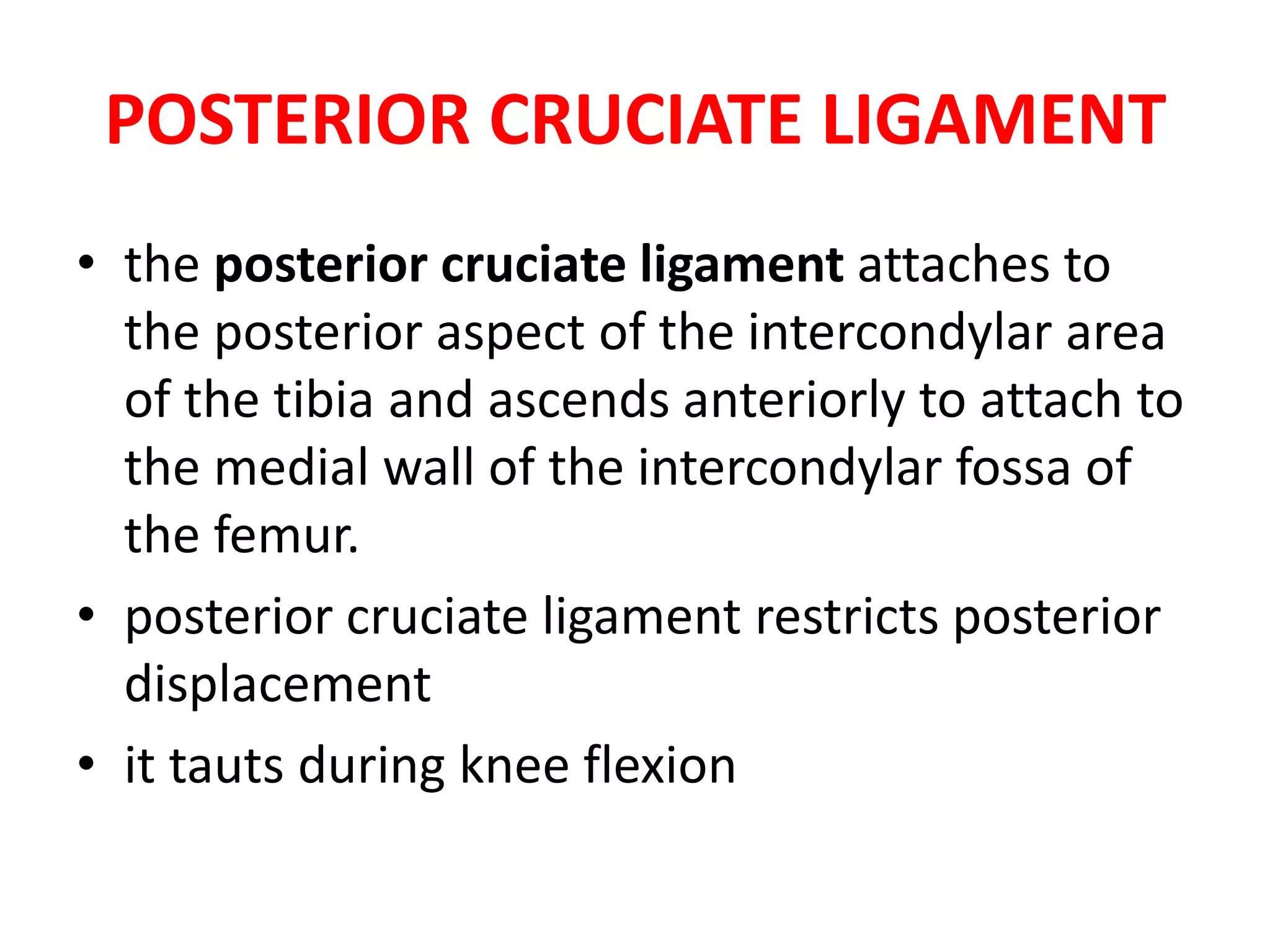 Anatomy of the knee joint | PPTX