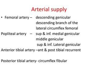 Anatomy of the knee joint | PPTX