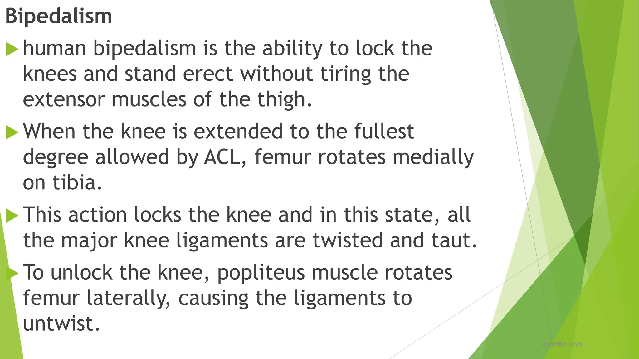 ANATOMY OF THE KNEE JOINT AND POPLITEAL FOSSA | PDF
