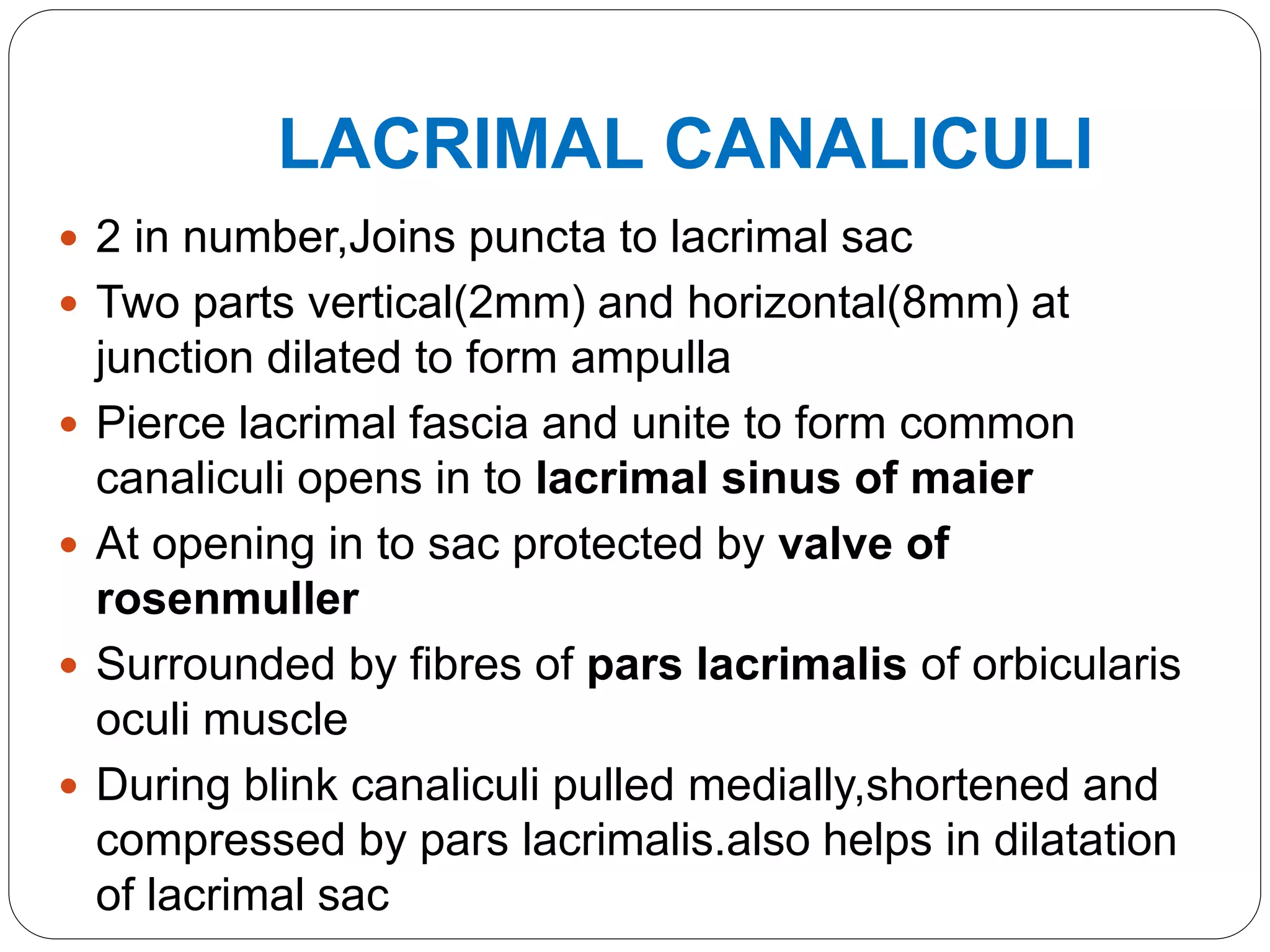 Anatomy of the lacrimal apparatus | PPTX