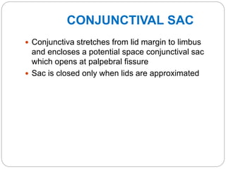 Anatomy of the lacrimal apparatus | PPTX