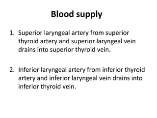 Anatomy of the larynx | PPTX