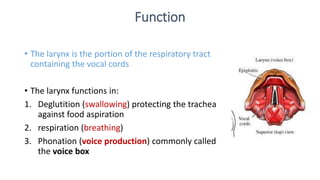 Anatomy of the larynx | PPTX