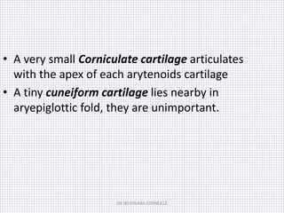 ANATOMY_OF_THE_LARYNX.pptx