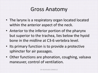 ANATOMY_OF_THE_LARYNX.pptx
