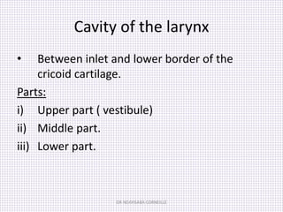 ANATOMY_OF_THE_LARYNX.pptx