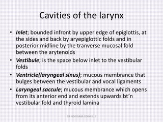 ANATOMY_OF_THE_LARYNX.pptx