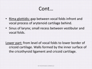 ANATOMY_OF_THE_LARYNX.pptx