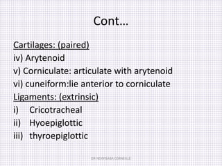 ANATOMY_OF_THE_LARYNX.pptx