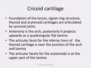 ANATOMY_OF_THE_LARYNX.pptx