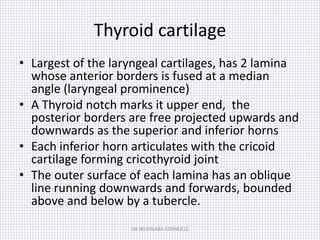 ANATOMY_OF_THE_LARYNX.pptx