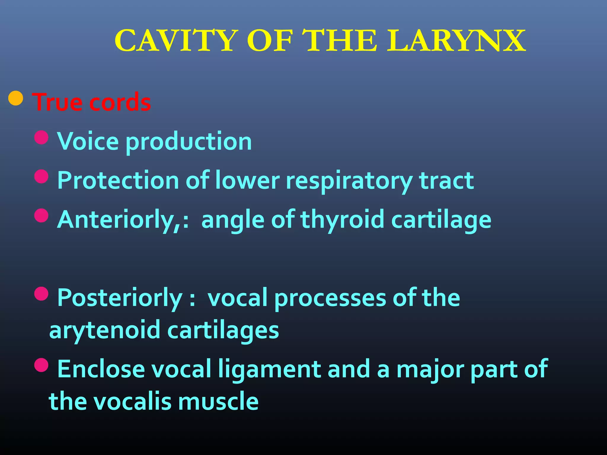 Anatomy of the larynx by arijit | PPT