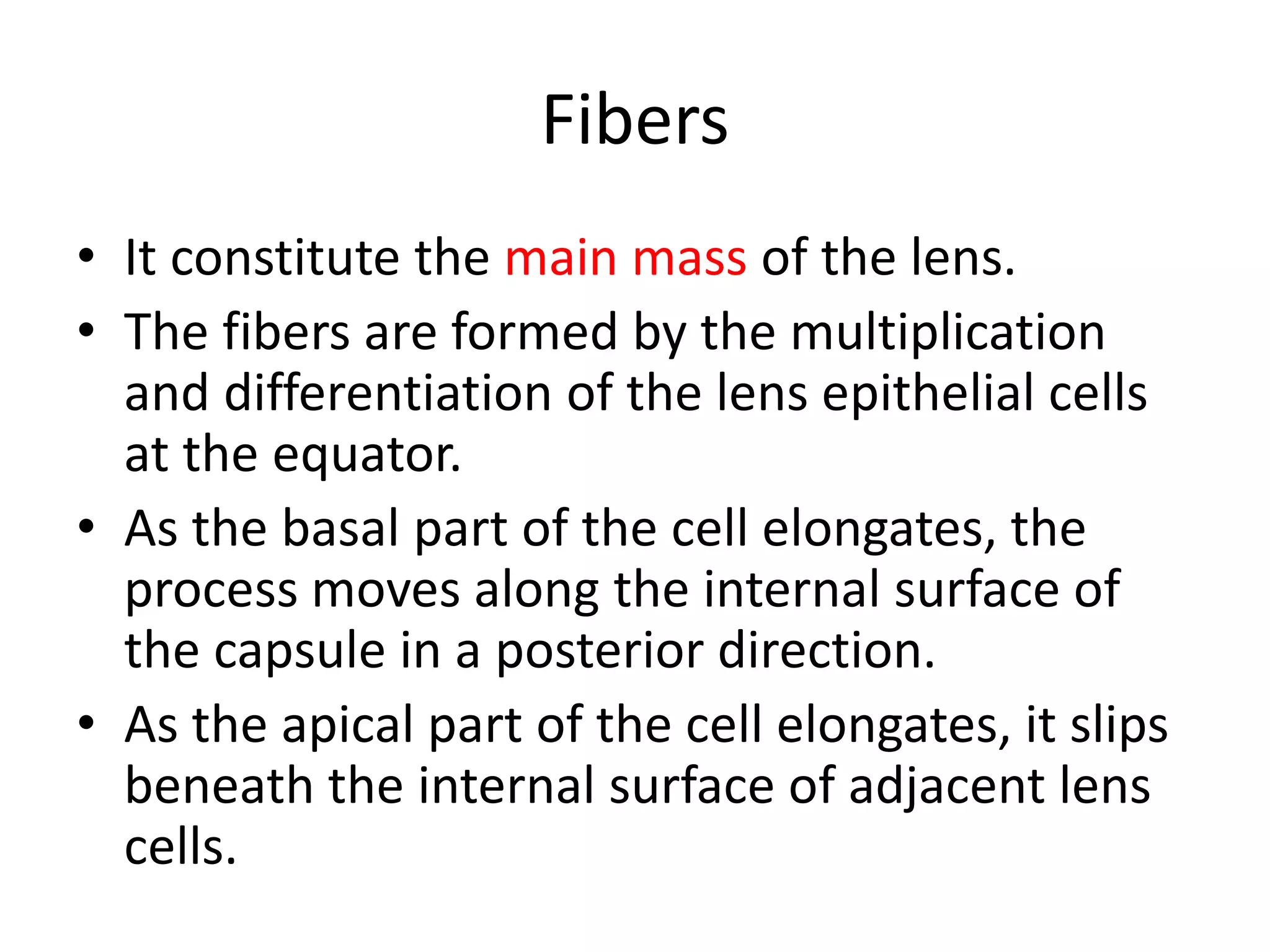 Anatomy of the lens | PPT