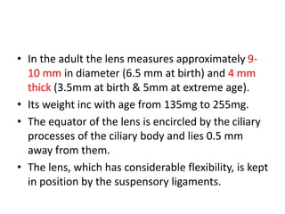Anatomy of the lens | PPT