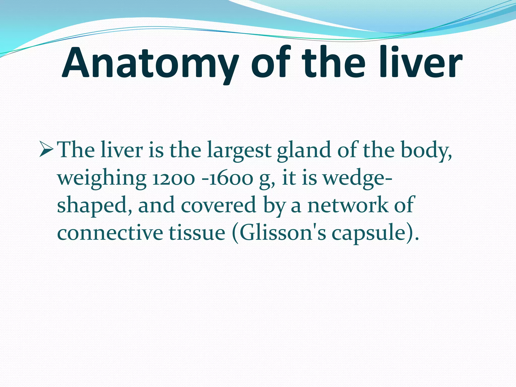Anatomy of the liver and effect of anaesthetic drugs on liver | PPTX