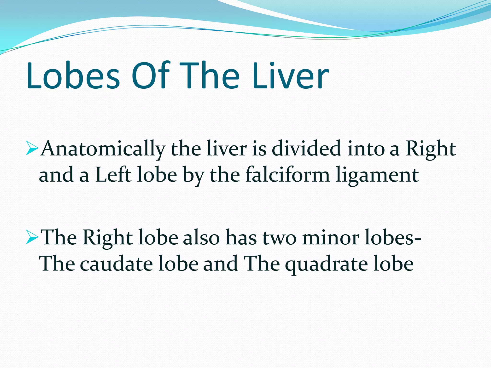 Anatomy of the liver and effect of anaesthetic drugs on liver | PPTX