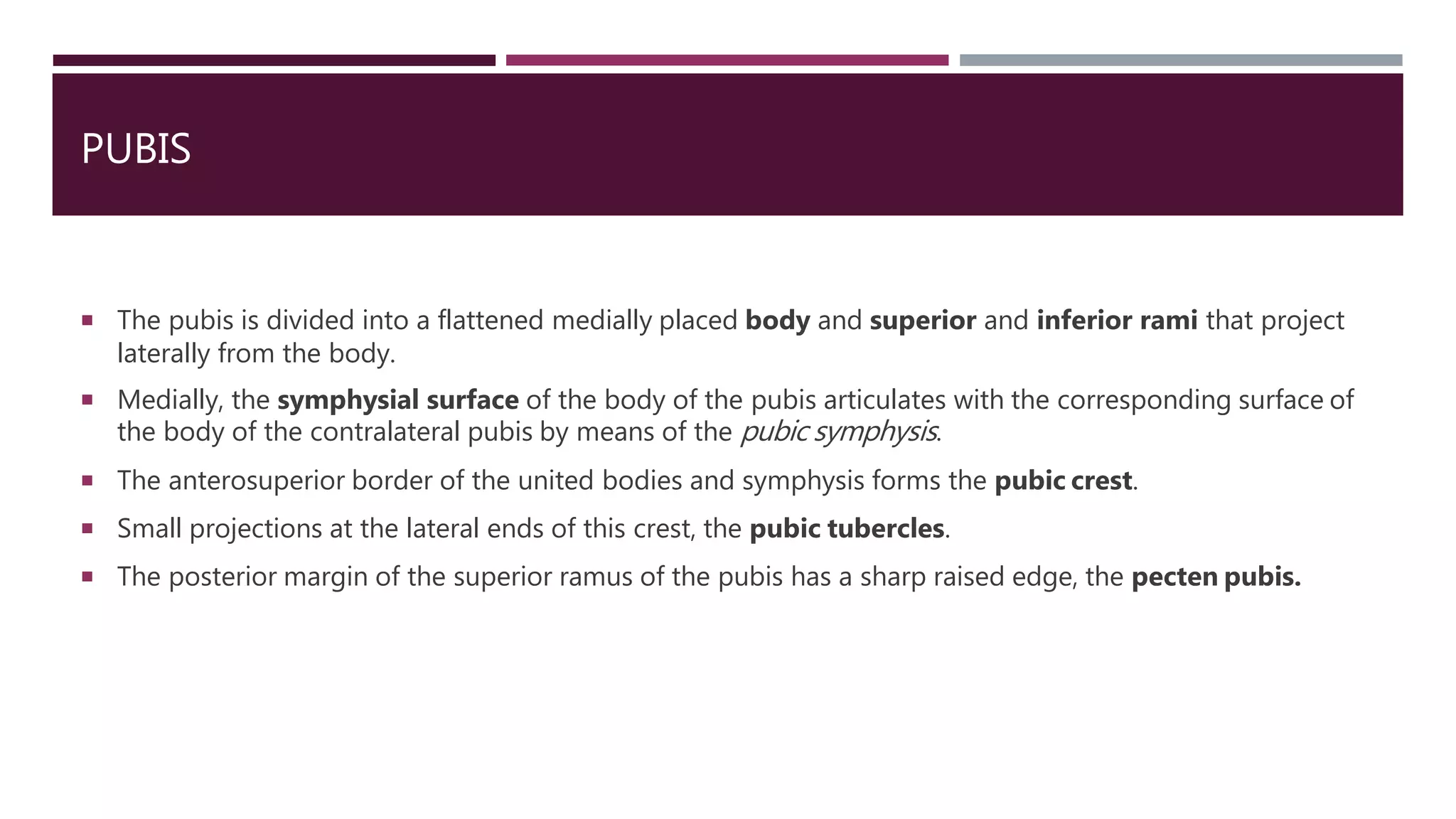 Anatomy of the Lower Limb.pdf