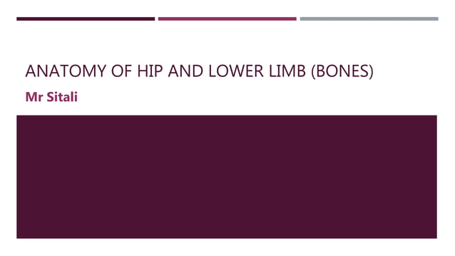 Anatomy of the Lower Limb.pdf