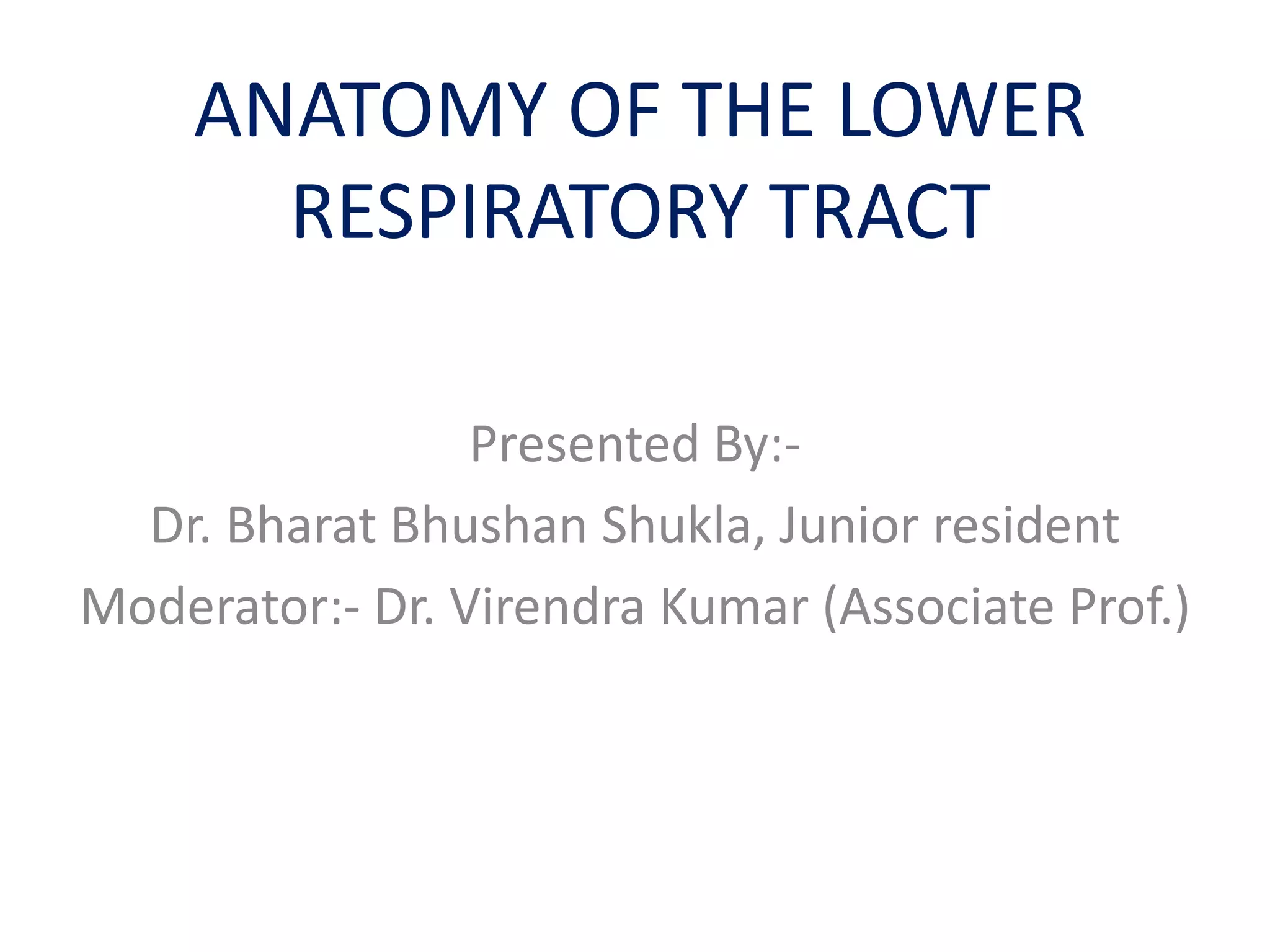 Anatomy of the lower respiratory tract | PPTX