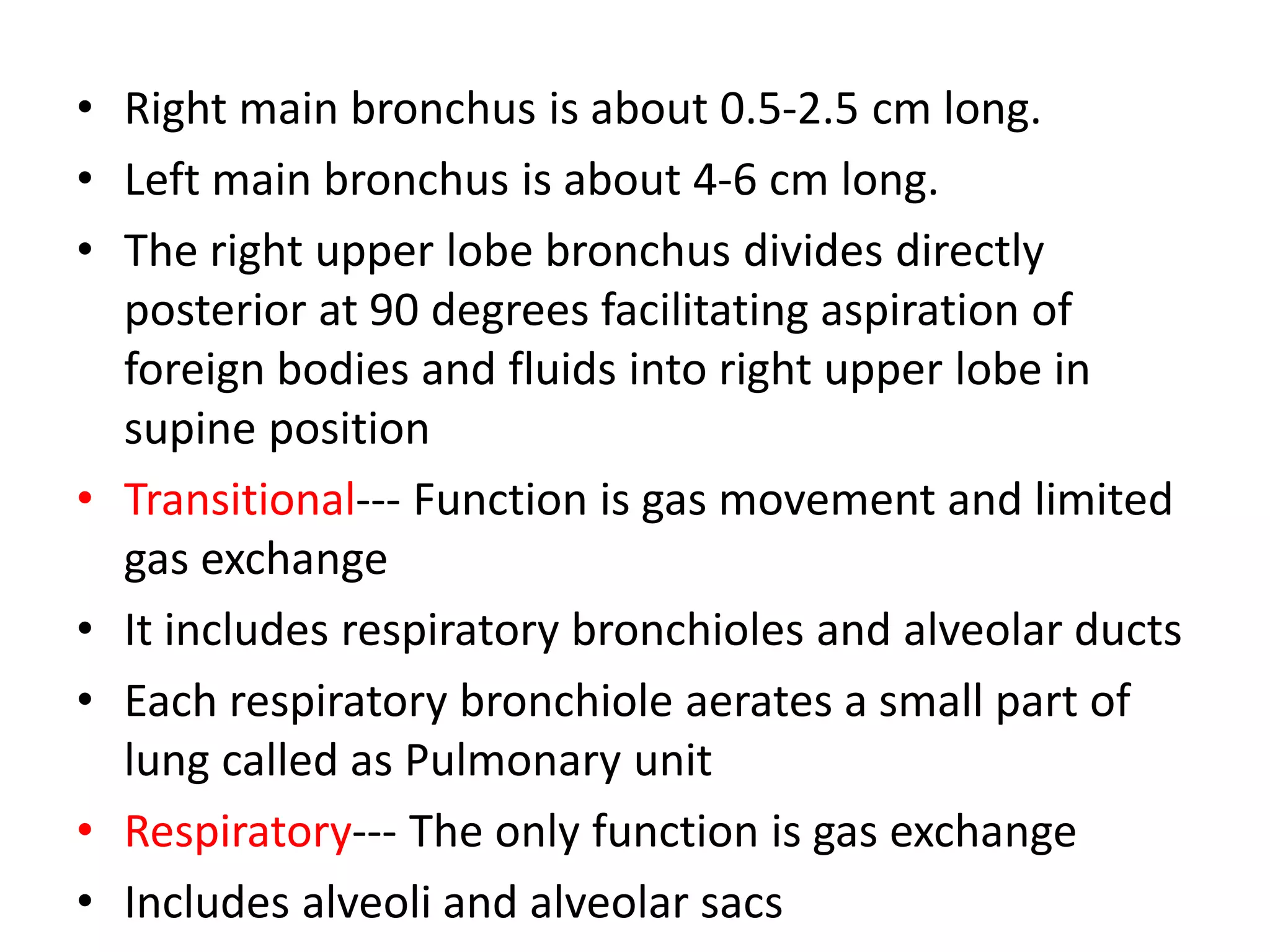 Anatomy of the lower respiratory tract | PPTX