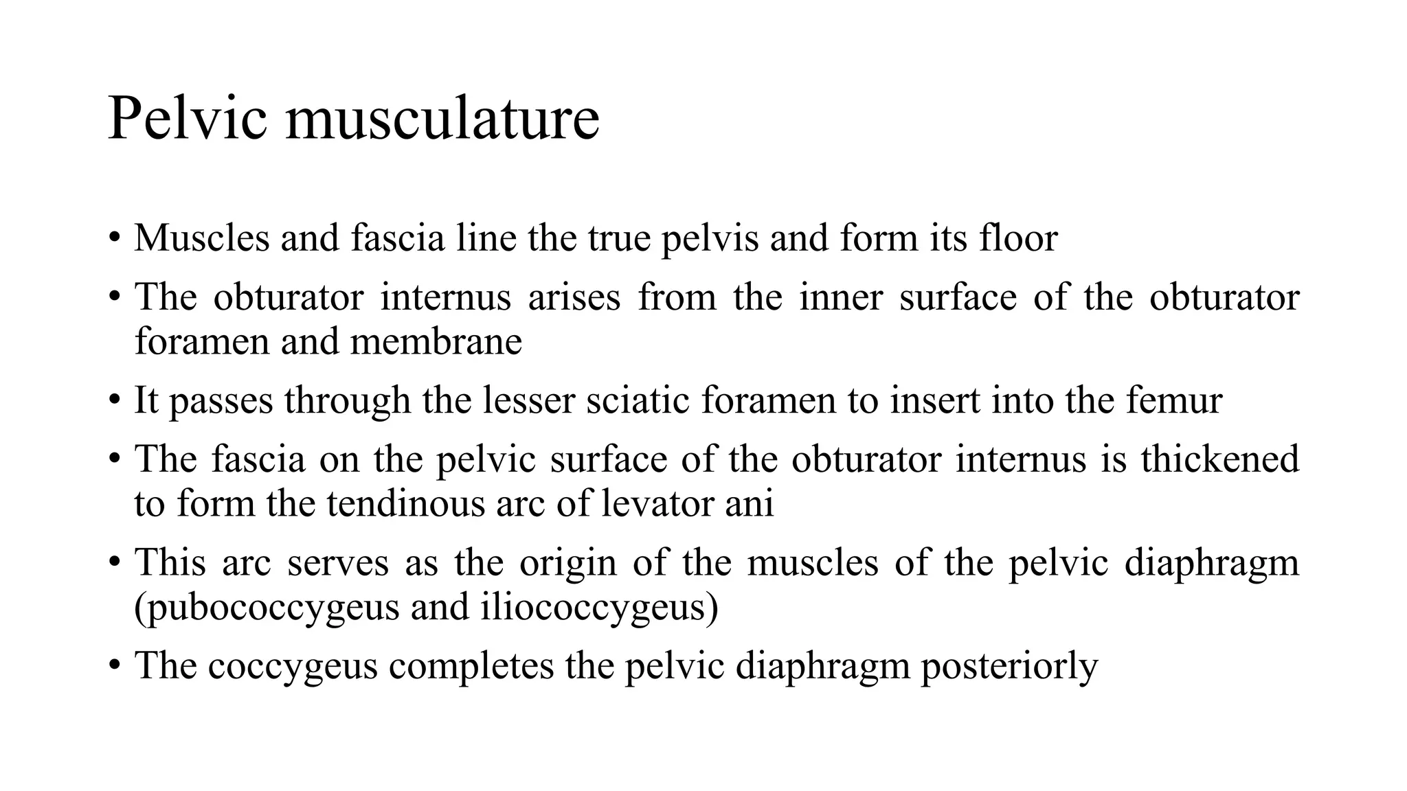 ANATOMY OF THE LOWER URINARY TRACT AND MALE [Autosaved] [Autosaved].pptx