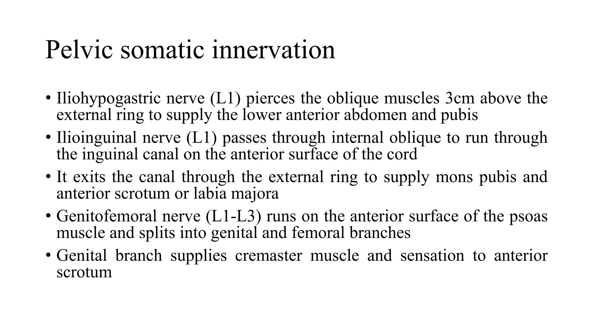 ANATOMY OF THE LOWER URINARY TRACT AND MALE [Autosaved] [Autosaved].pptx