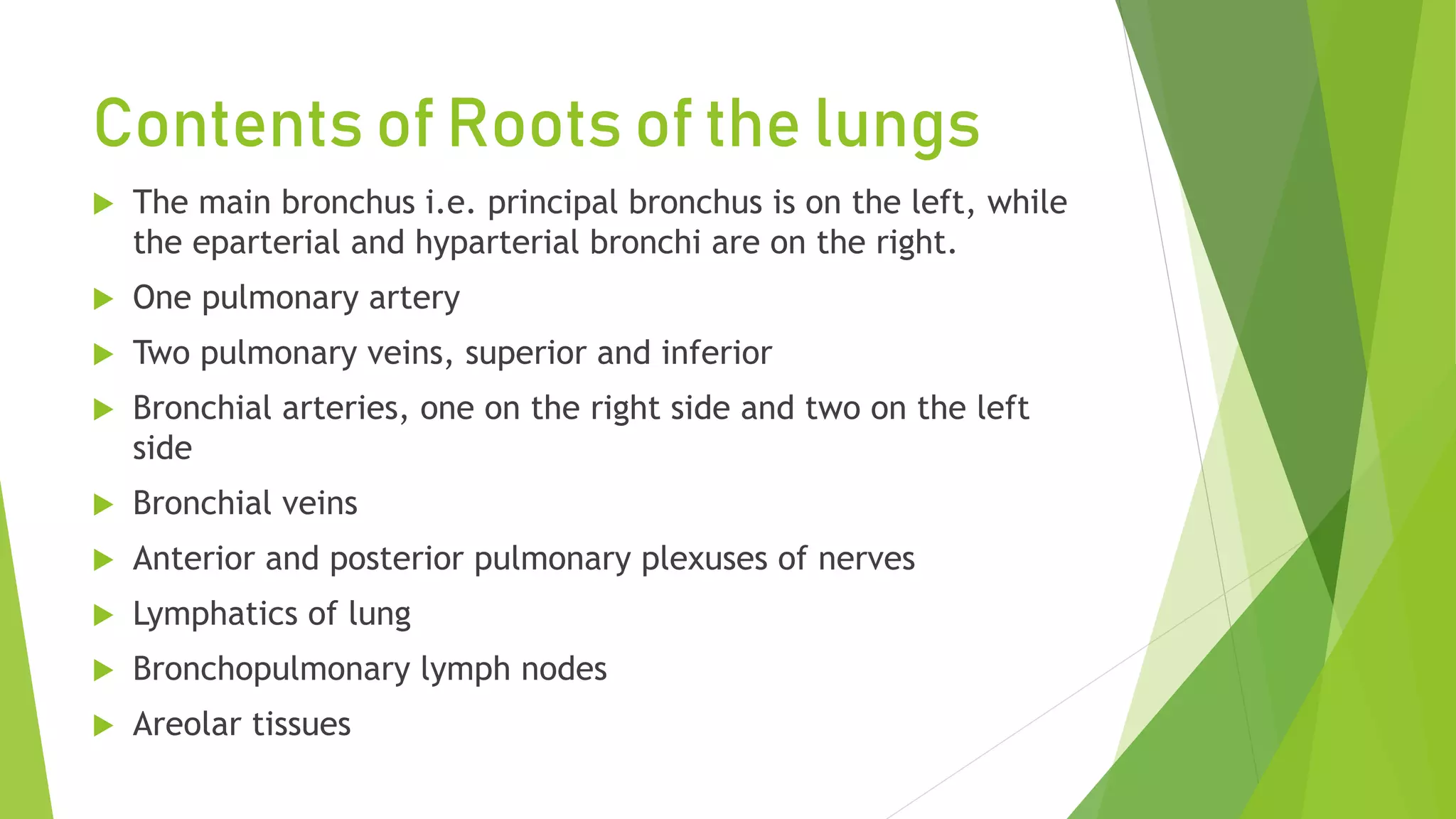 Anatomy Of The Lungs.pptx