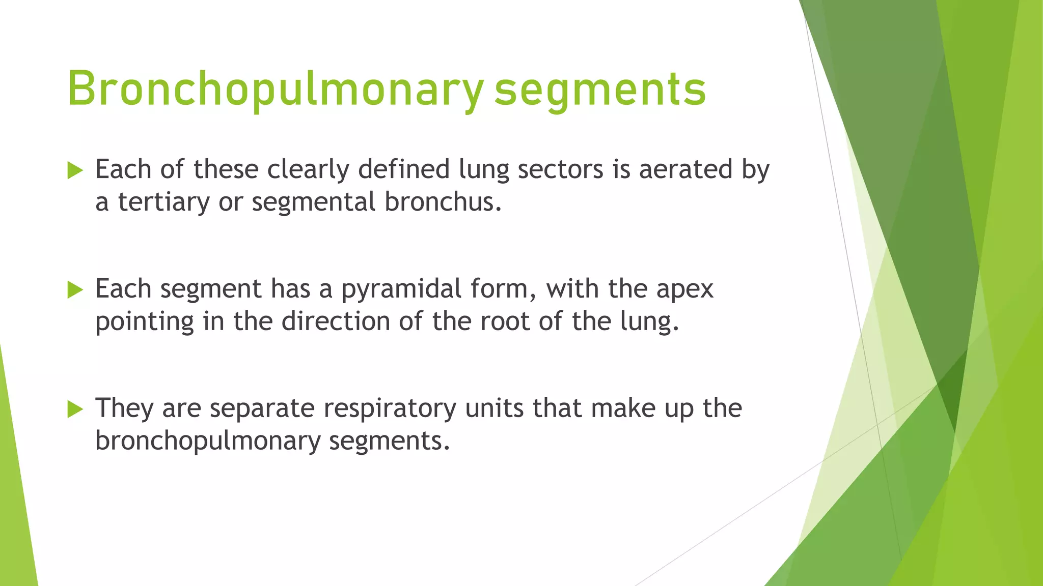 Anatomy Of The Lungs.pptx