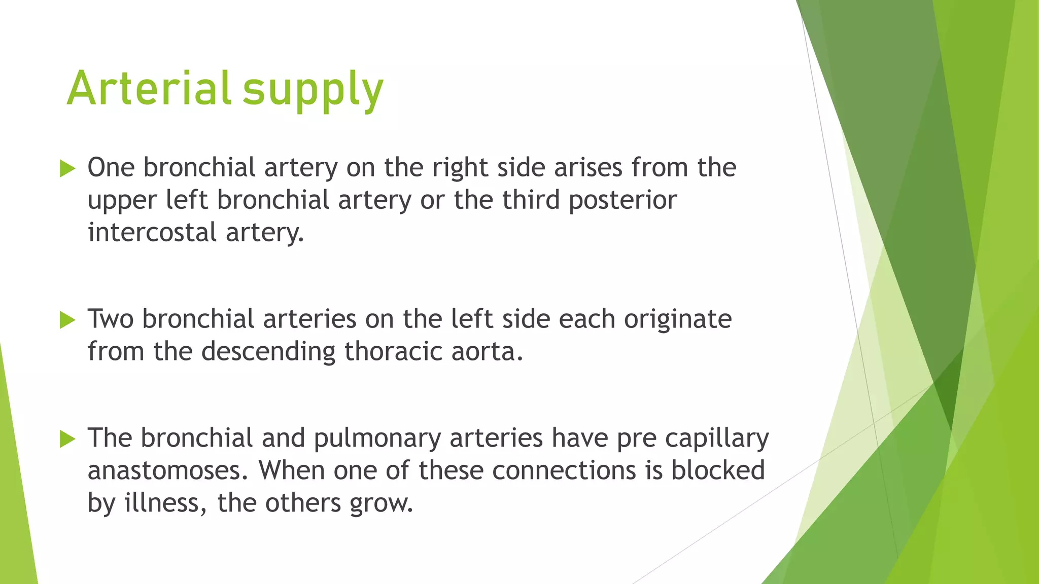 Anatomy Of The Lungs.pptx
