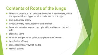 Anatomy Of The Lungs.pptx