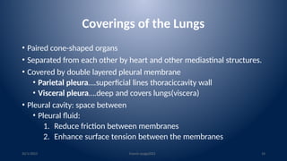 ANATOMY OF THE LUNGS.pptx e ee | PPT