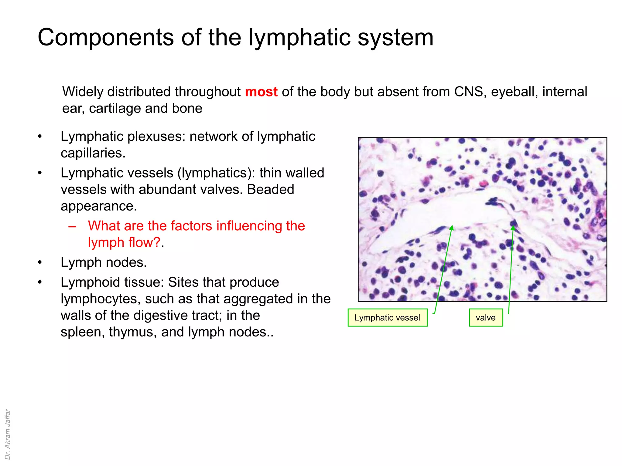 Anatomy of the lymphatic system | PPTX