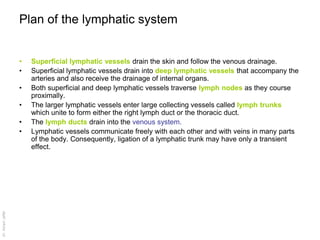 Anatomy of the lymphatic system | PPTX