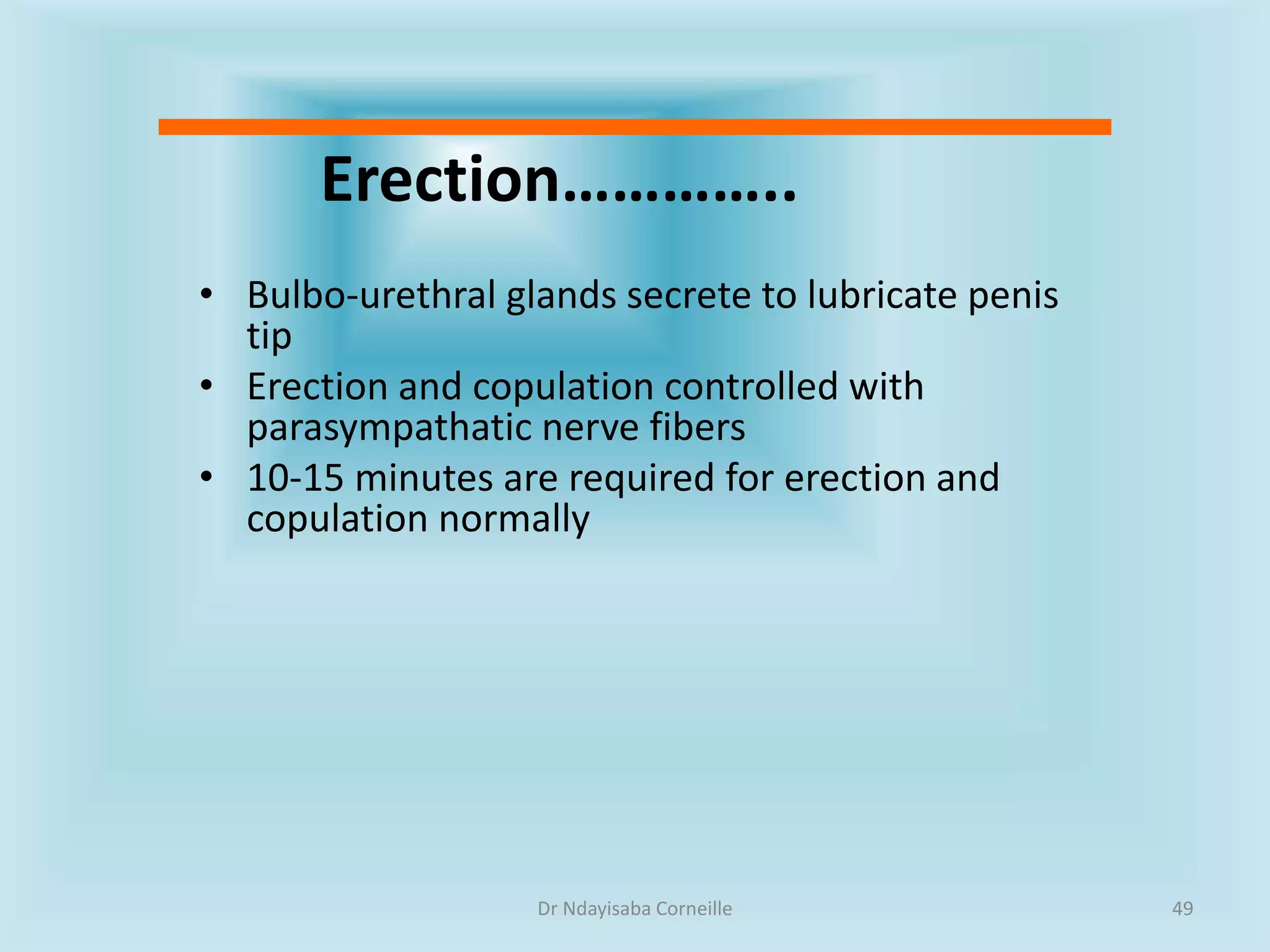 Anatomy of the Male External genitalia.pptx