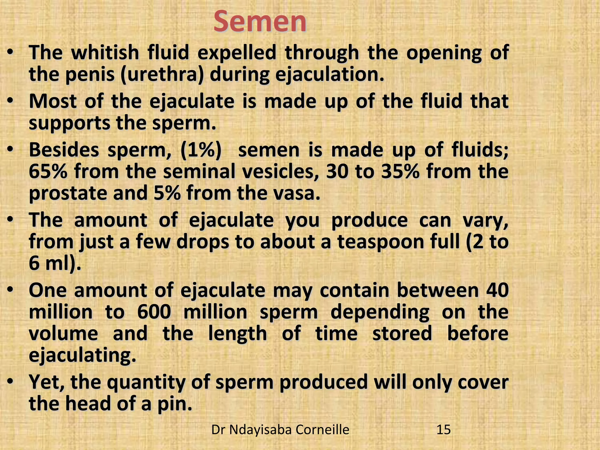 Anatomy of the Male internal genitalia.pptx