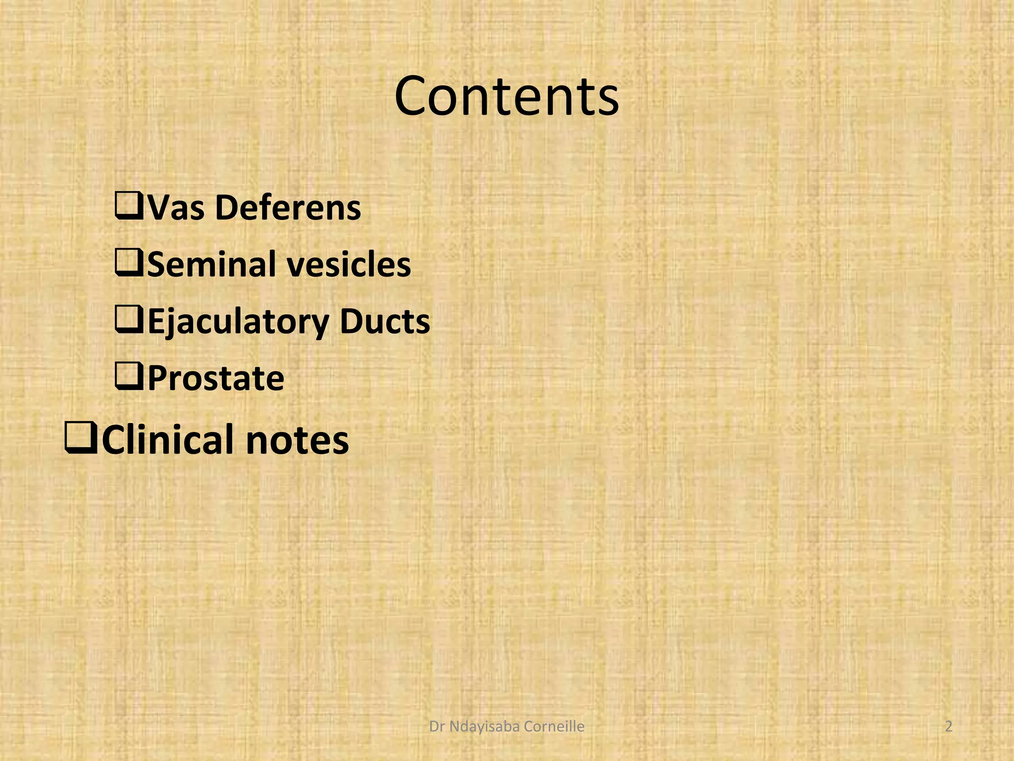 Anatomy of the Male internal genitalia.pptx