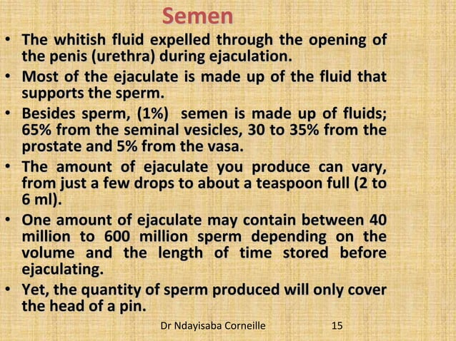 Anatomy of the Male internal genitalia.pptx